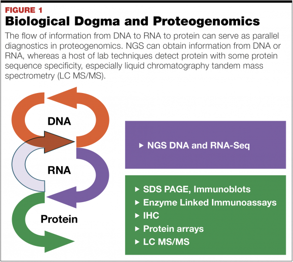 Developing Technologies Support Proteogenomics : May 2018 - MedicalLab ...