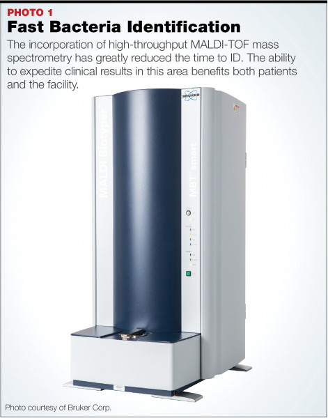 Using MALDI Mass Spectrometry for Advanced Microbial Identification ...