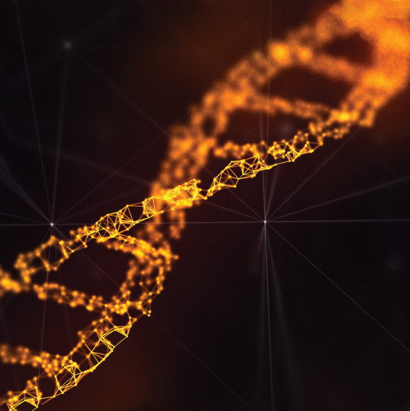 Pathology-Driven Reflex Testing of Biomarkers : December 2019 ...