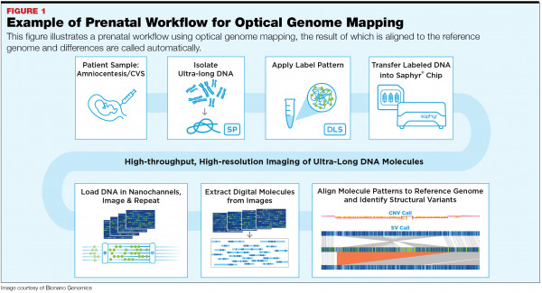The Promise of Next Generation Cytogenetics: Optical Genome Mapping ...