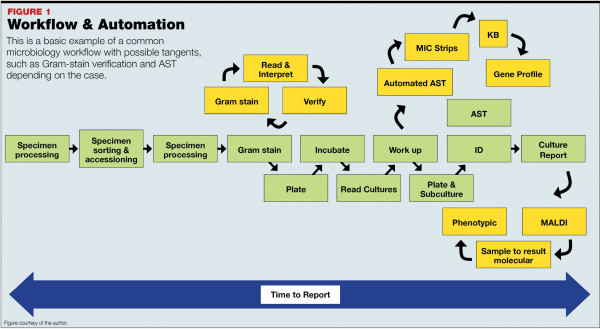 Benefit from Automation and AI in Microbiology : March 2022 ...